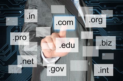 Domain Hosting