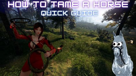 BDO - Your Horse Taming Quick Guide - What to prepare & how to catch a ...