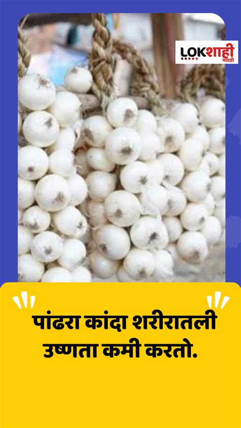 स्वयंपाकात कांदा सगळीकडेच वापरला जातो लाल आणि पांढरा असे कांद्याचे दोन