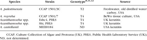 Acanthamoeba Isolates Download Table