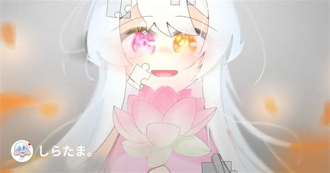 しらたま。 Pixiv