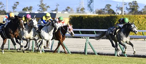 每日賽馬晚報（2022年1月5日），香港疫情第五波你要知道的事，萬勝飛力求衛冕沙地盃 Flameracing