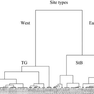 Site Types Presented As A Dendrogram Resulting From A Minimum Variance