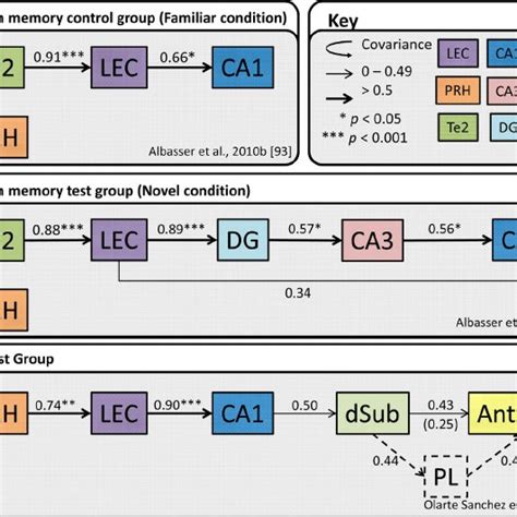 Schematic Illustration Of Various Tests Of Object Recognition Memory Download Scientific