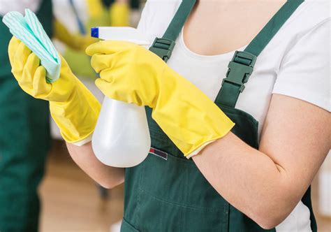 The Importance Of Proper Sanitization After Mice Removal