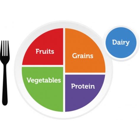 Foods 1 9th Grade Myplate Dietary Guidelines Healthy Eating