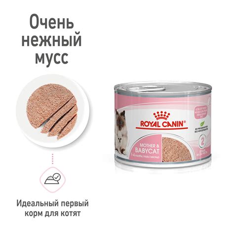 Консервы Royal Canin Babycat instinctive для котов