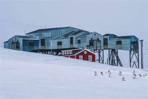 13 Best Things To Do In Svalbard Must See Places In The High Arctic