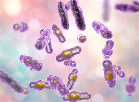 Researchers Identify Early Indicators Of Necrotic Enteritis In Broilers