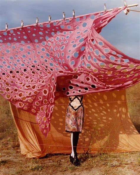 永遠那顆閃亮的黑珍珠戴文·青木 每日頭條