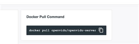 Docker Manifest Not Found Issues With Deployment Openvidu