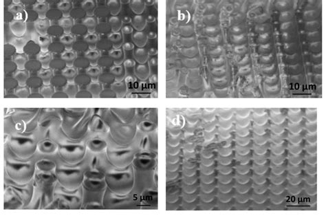 Teflon Af Sem Images A 2 Hours At 100°c B 30 Min At 190°c C 10 Download Scientific