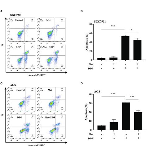 Metformin Alleviates Cisplatin Induced Apoptosis In Gc Cells A B Download Scientific