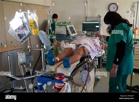 Training Of Medical Interns In The Ecmo Technique Extracorporeal