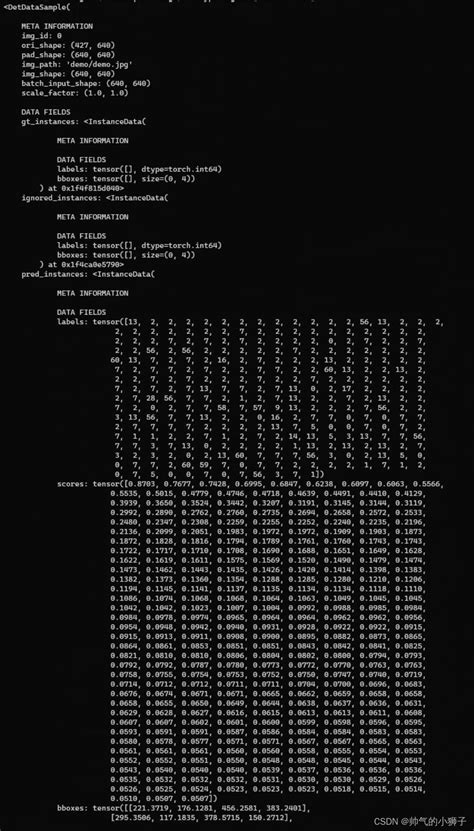 Mmdetection安装教程mmdet安装教程 Csdn博客