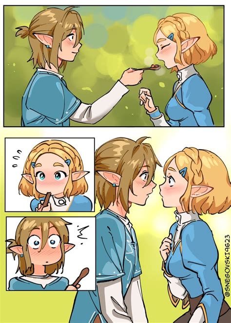 Link And Princess Zelda The Legend Of Zelda And 1 More Drawn By