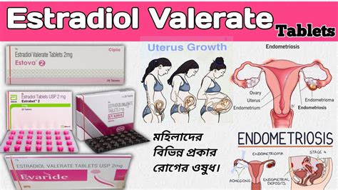 Estradiol Valerate Tablets Uses In Bengali Progynova Tablets