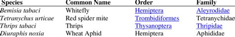 Details Of The Insects Bioassayed With The Tested Fungal Isolate P