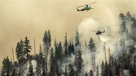 Wildfire Near Yosemite National Park Threatens Its Largest Grove Of