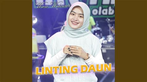 Linting Daun Youtube Music