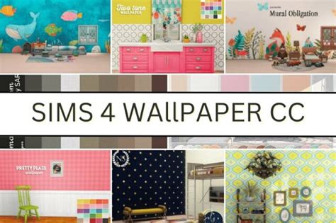 Sims Last Exception Mccc Reader Solved