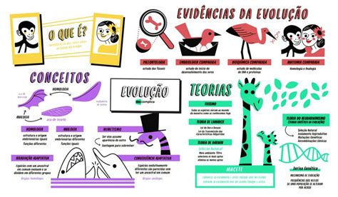 EVOLUÇÃO Mapa mental Mapas mentais Evolucionismo