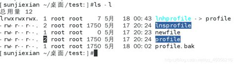 Rhel常用linux命令操作 第四章实验报告长格式显示文件profile、lnsprofile和lnhprofile的详细信息。注意比较3