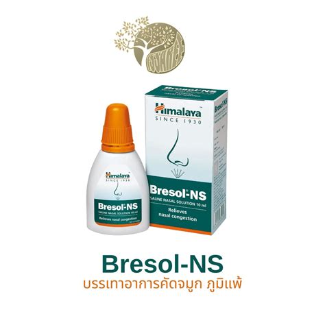 Bresol-NSขนาด 10ml แพ้อากาศ คัดจมูก ลดภูมิแพ้ | Shopee Thailand