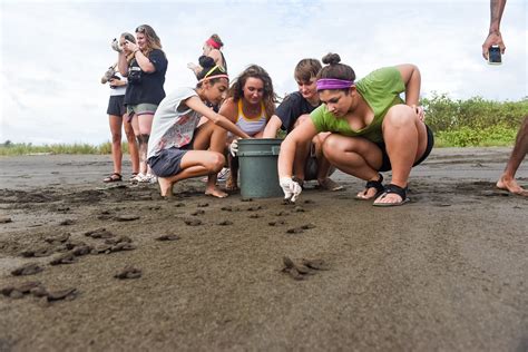 Turtle Conservation Trip Chat With Katie