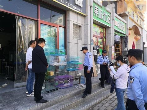 高台：开展“2023清风行动”更好保护野生动植物资源宣传全县非法