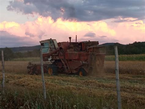 სოფელი მლაშე დუშეთის მუნიციპალიტეტი Village Mlashe Dusheti Municipality