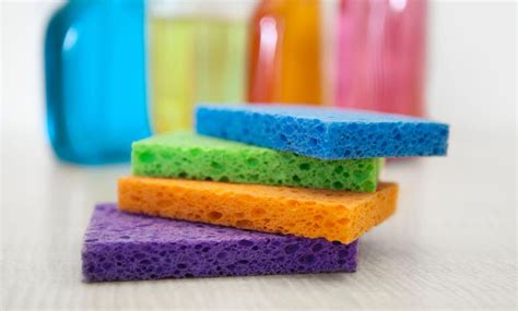 Housecleaning Christens Ladybug Cleaning Groupon