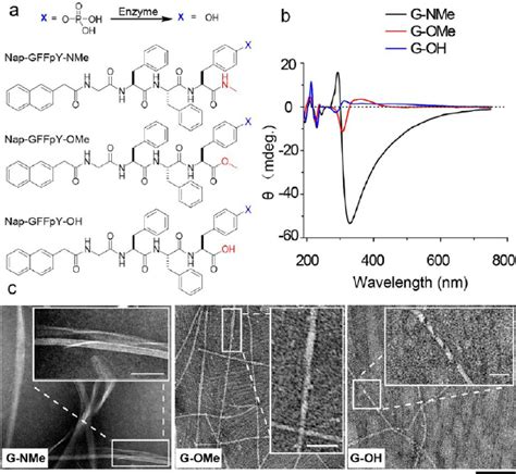 Synthesis And Characterization Of Peptide Based Nano Fi Brous