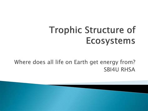 Ppt Trophic Structure Of Ecosystems Powerpoint Presentation Free Download Id2421419