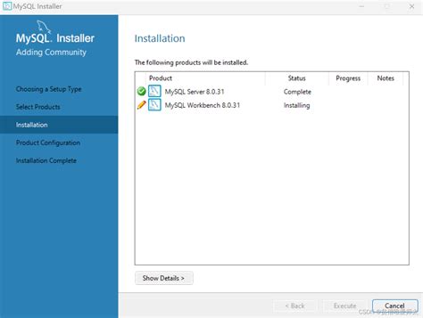 MySQL和Navicat下载安装及使用详细教程 CSDN博客