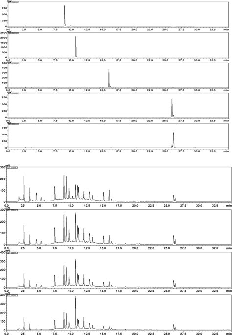 Typical HPLC PDA Chromatograms Of Each Standard Compound A And Download Scientific Diagram