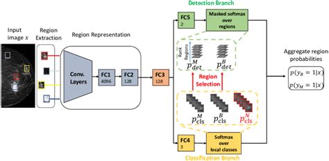 weakly supervised architecture overview the novel elements are in red