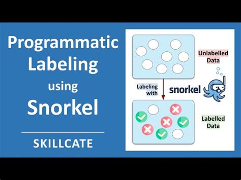 Labeled Data And Unlabeled Data Youtube Continuous Pseudo Labeling