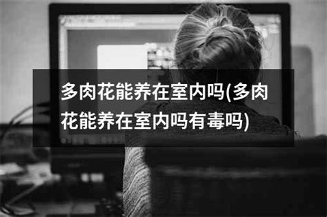 多肉花能养在室内吗多肉花能养在室内吗有毒吗 养花经验