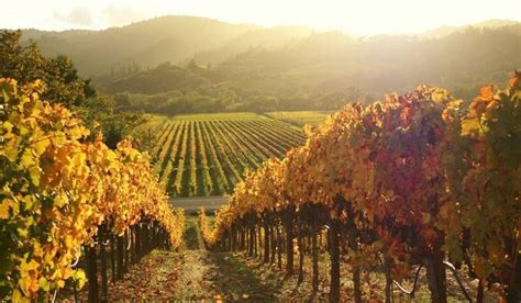 Laura Hingel Posted On Linkedin