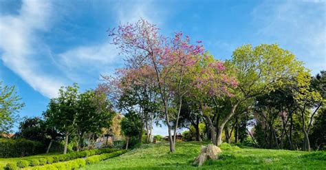 Reconduction Tacite Décryptage Dune Clause Clé Des Contrats