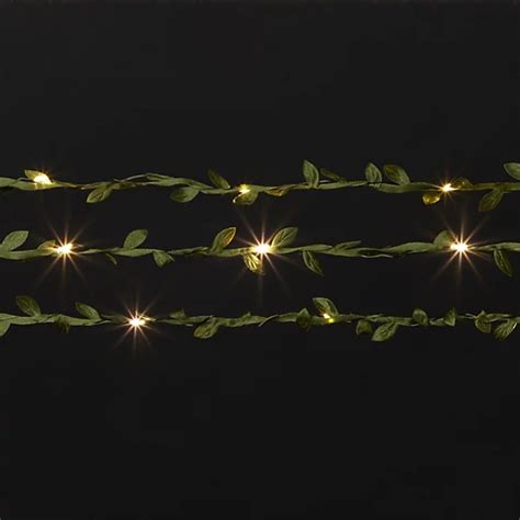 20 Warm White Led String Lights With Timer Function Green Cable
