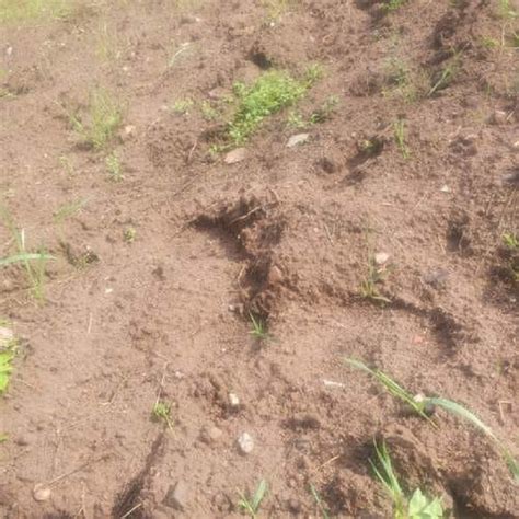 Przyjechał w odwiedziny do znajomych i wszedł na pas drogi granicznej Aktualności Warmińsko
