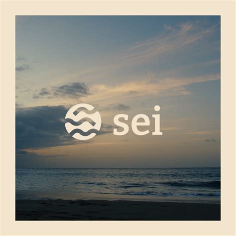 Tokenfactory Module Tutorial — Sei Network Supernova Medium