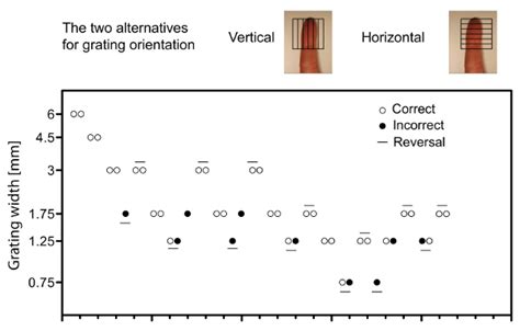 Measurement Of Vibration Detection Threshold And Tactile Spatial Acuity