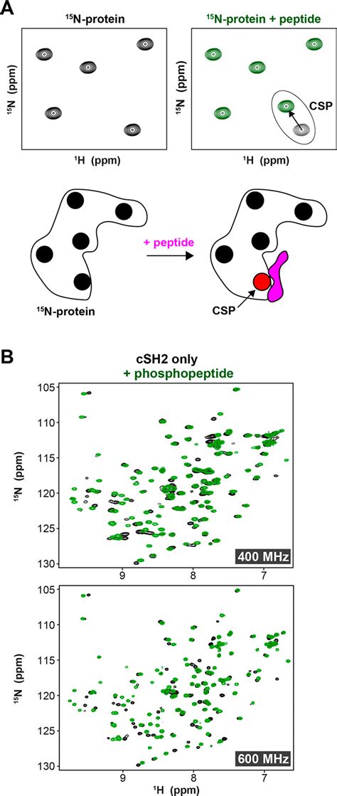 Design Of A Robust Undergraduate Biochemistry Laboratory Module Design Talk