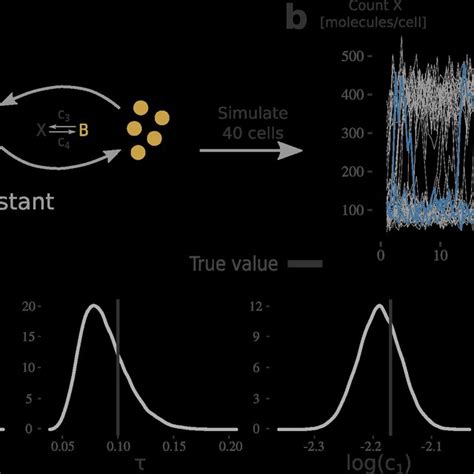 Pepsdi A Bayesian Inference Framework For Single Cell Stochastic