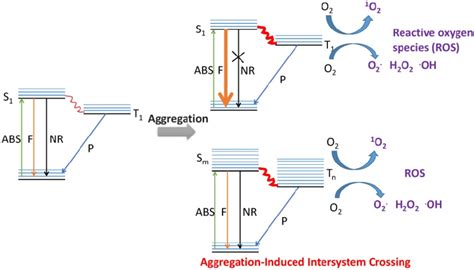 Diagrammatic Explanation Of The Advantages Of AIEgens In PDT