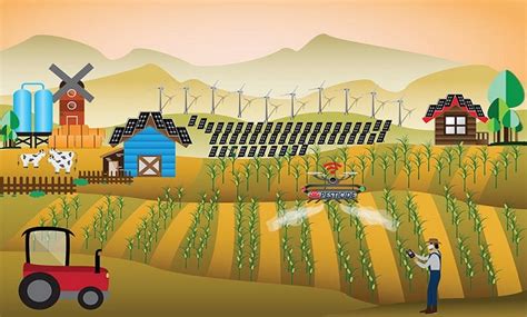 Rural Development Centre