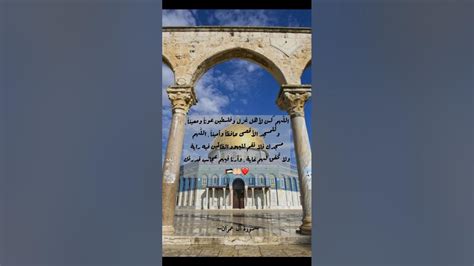 ولا تحسبن الذين قتلوا في سبيل الله أمواتا بل أحياء عند ربهم يرزقون